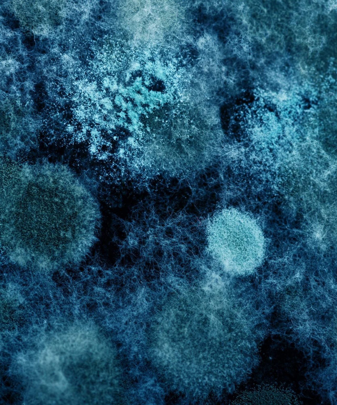 Our Approach - Biome Diagnostics | BiomeDx