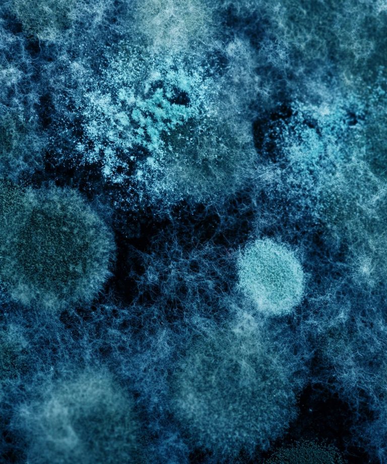 Our Approach - Biome Diagnostics | BiomeDx